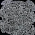 3D Paper Dreams: Sachin Tekade