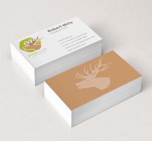 Stag Head Logo & Business Card Template - The Design Love