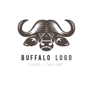 Buffalo Logo & Business Card Template - The Design Love