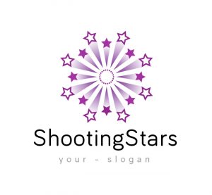 Shooting Stars Logo & Business Card Template - The Design Love