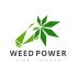 Weed Power Logo & Business Card Template - The Design Love