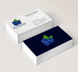 Blueberry Logo & Business Card - The Design Love