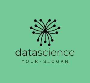 Creative Data Science Logo & Business Card - The Design Love