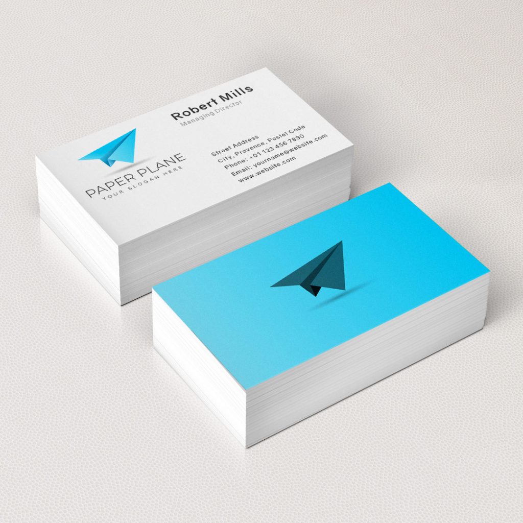 Simple Paper Plane Logo & Business Card - The Design Love