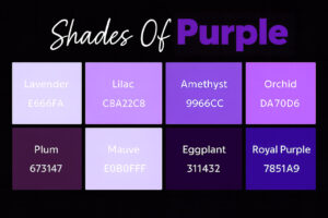 Shades of Purple: Explore Its Power, Moods, Iconic Brands and Hex Codes
