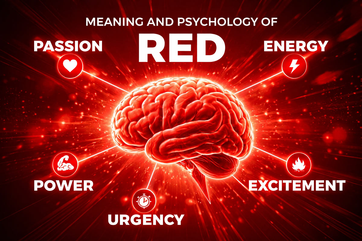 Shades of Red: 50+ Red Color Names, Hex Codes, Meanings and Design Uses