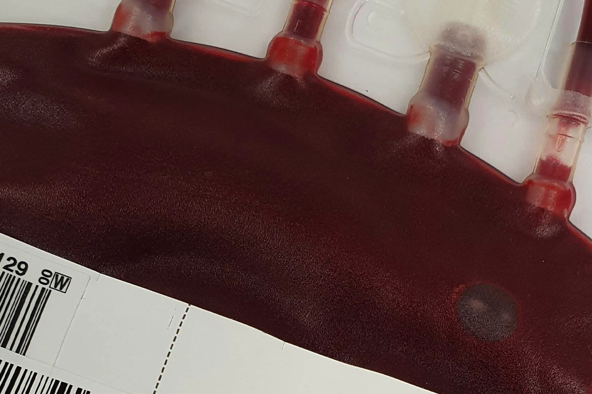 Shades of Red: 50+ Red Color Names, Hex Codes, Meanings and Design Uses